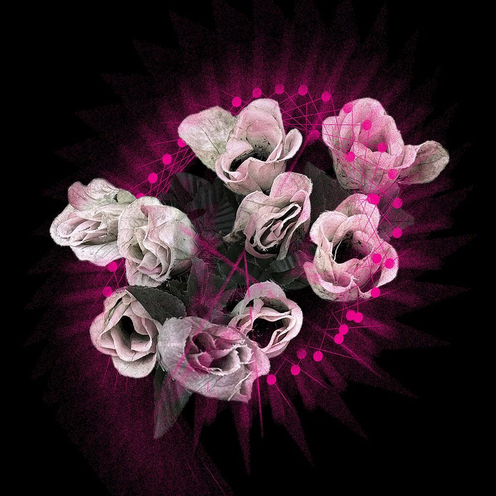 Pigments and Flowers - Your sound - The Sound Explorers Community